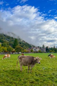 Hiking in Switzerland: Engelberg to Interlaken - Travel Babbo